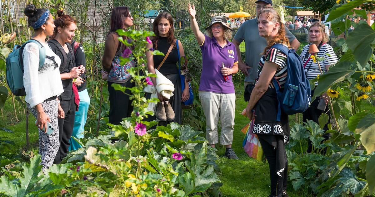 Oogstfeest op de stadsboerderij in Leidsche Rijn is veel meer dan eten ...