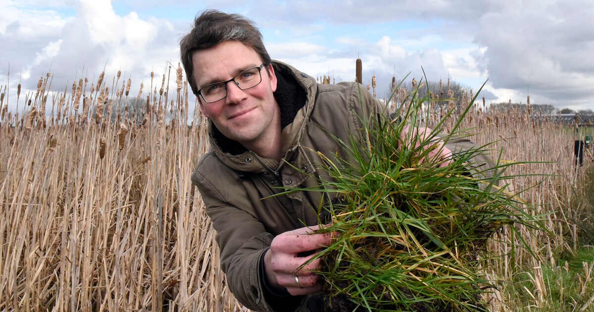 Uitstoot van stikstof terugdringen kan ook op goedkope manier ...