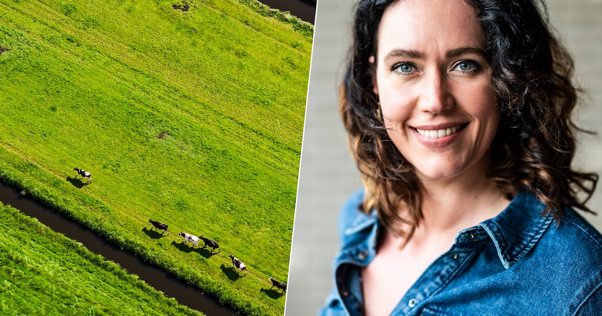 Janine schrijft over de Krimpenerwaard: zo kun je haar tippen én alle ...