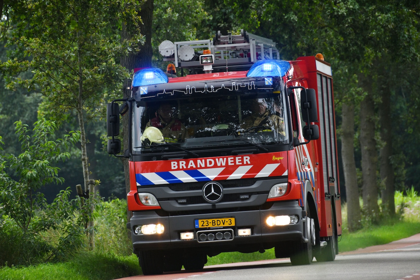 Brand in natuur bij Oirschot snel geblust | Foto | AD.nl