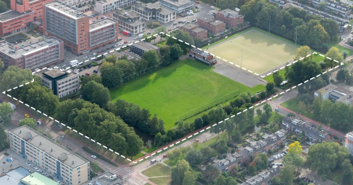 Bij deze nieuwe woningen in Rotterdam-Oost staat niet alleen wonen ...