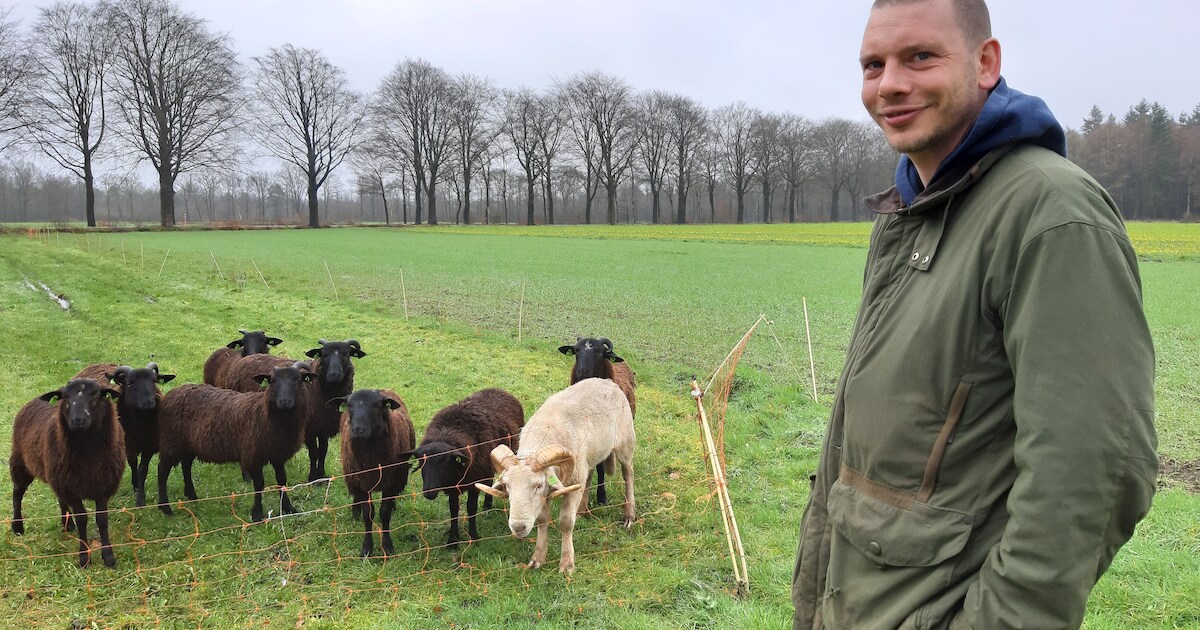 Kom kijken bij De Kraanvogel in Esbeek: open dag met bijzondere ...