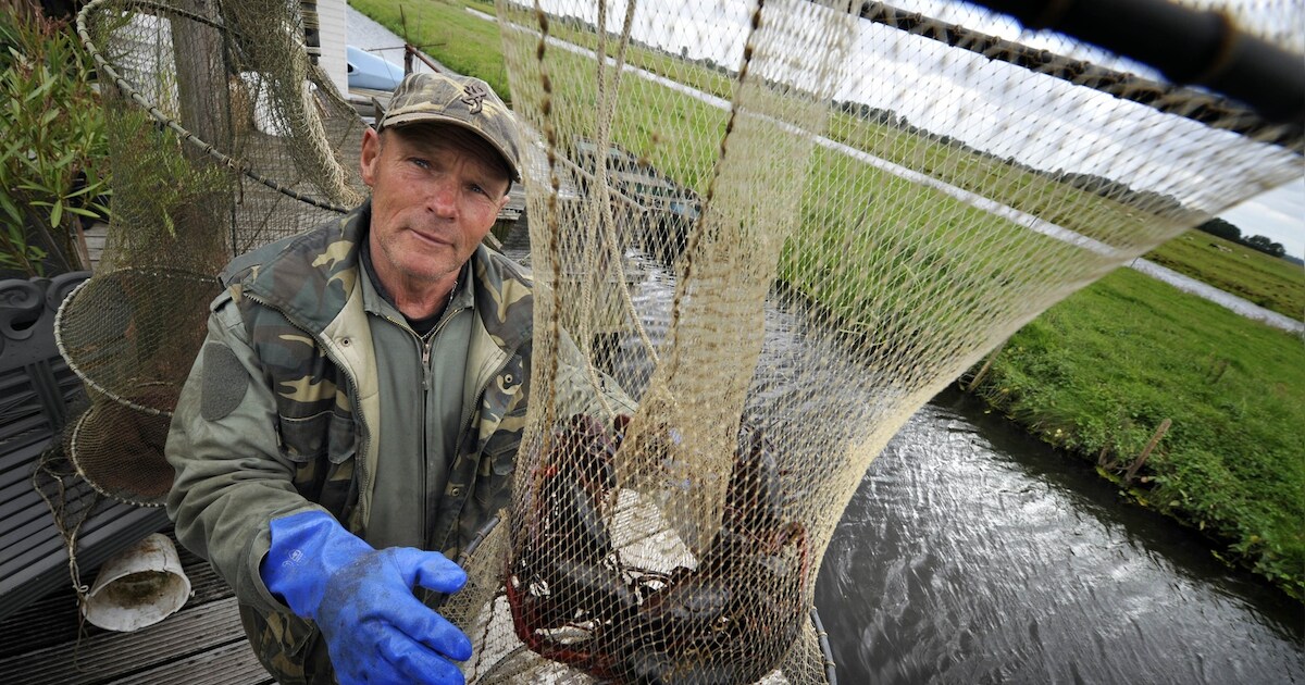 'Opmars van kreeft is niet te stuiten' | Groene Hart | AD.nl