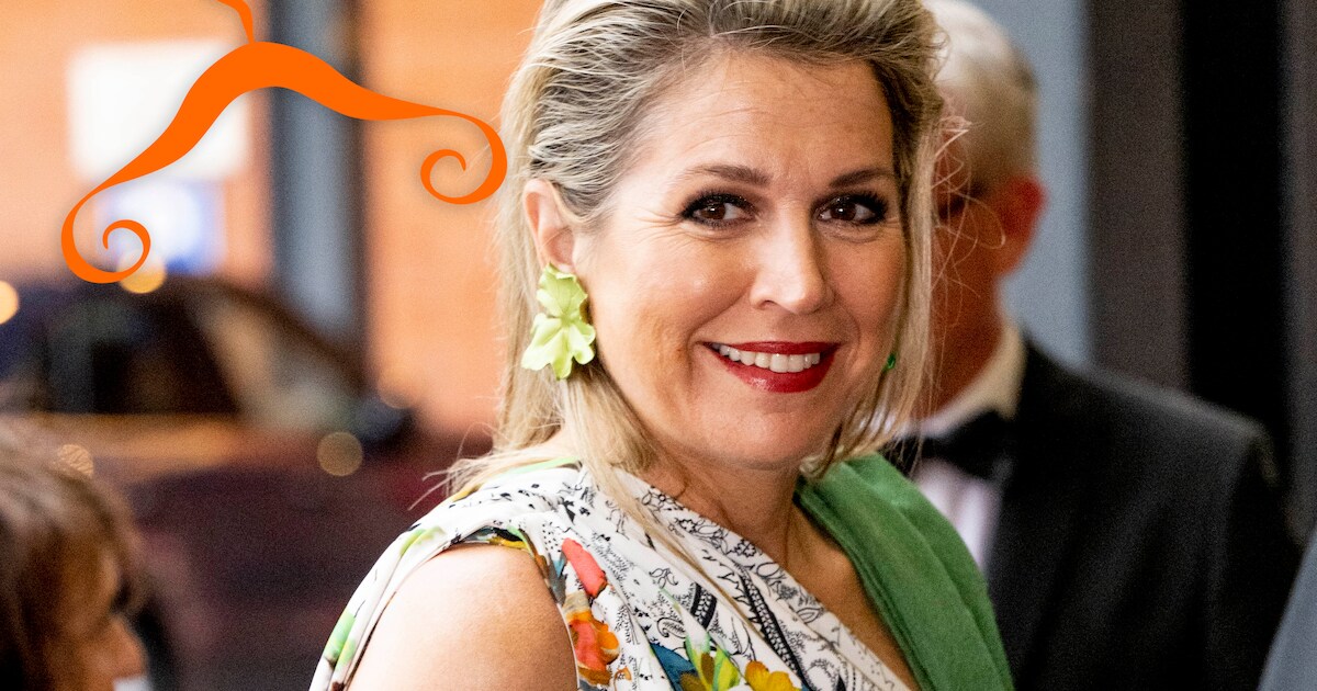 Máxima in fijne, betaalbare look: zowel haar vest als jurk kost 40 euro ...