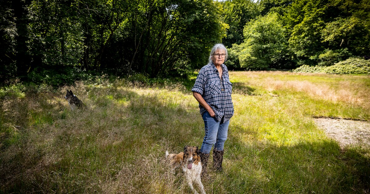 Mieke is dolblij, haar kudde schapen is terecht: ‘Het telefoontje waar ...
