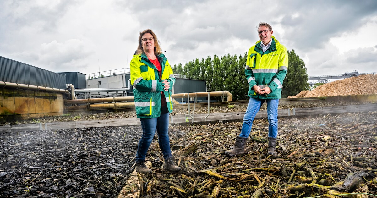 Dit bedrijf verwerkt 75 miljoen kilo gft-afval per jaar, maar bewoners ...