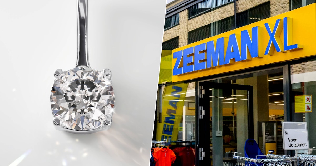 Zeeman ‘aangevallen’ door groothandel na stunt met diamant van 30 euro ...
