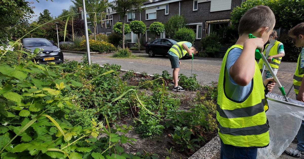 Don Boscoschool in Lisse ruimt zwerfafval op | Regio | AD.nl