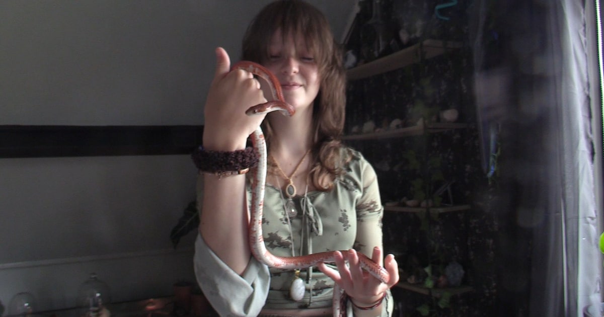 Gedumpte rattenslangen Scarlett en Pepper mogen oud worden bij 16 ...