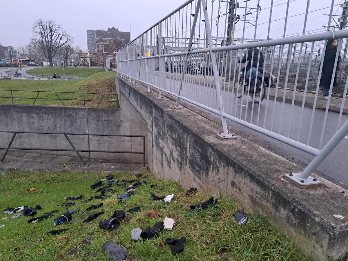 Alles in het gras! Wat is er aan de handschoen bij het station? | Foto ...