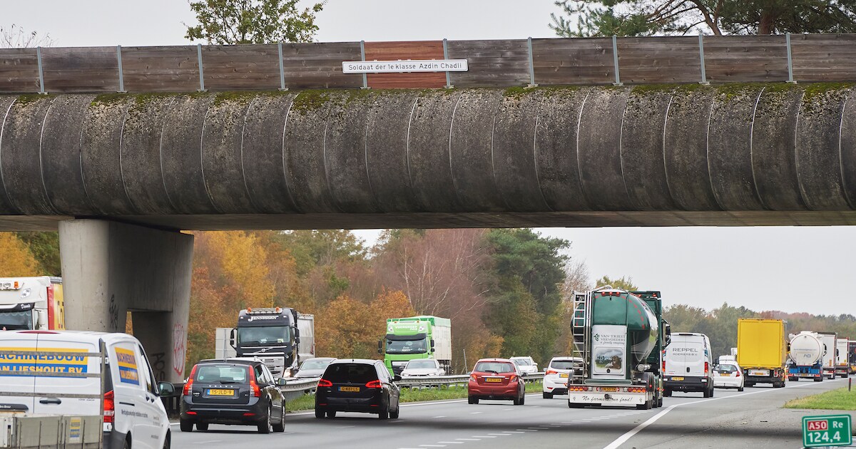 Eerbetoon aan omgekomen Udense soldaat: wildviaduct A50 vernoemd naar ...