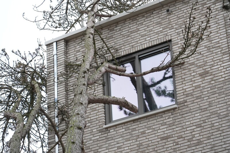 Boom waait tegen gevel in Rijen, brandweer kan door afstand niet alles ...