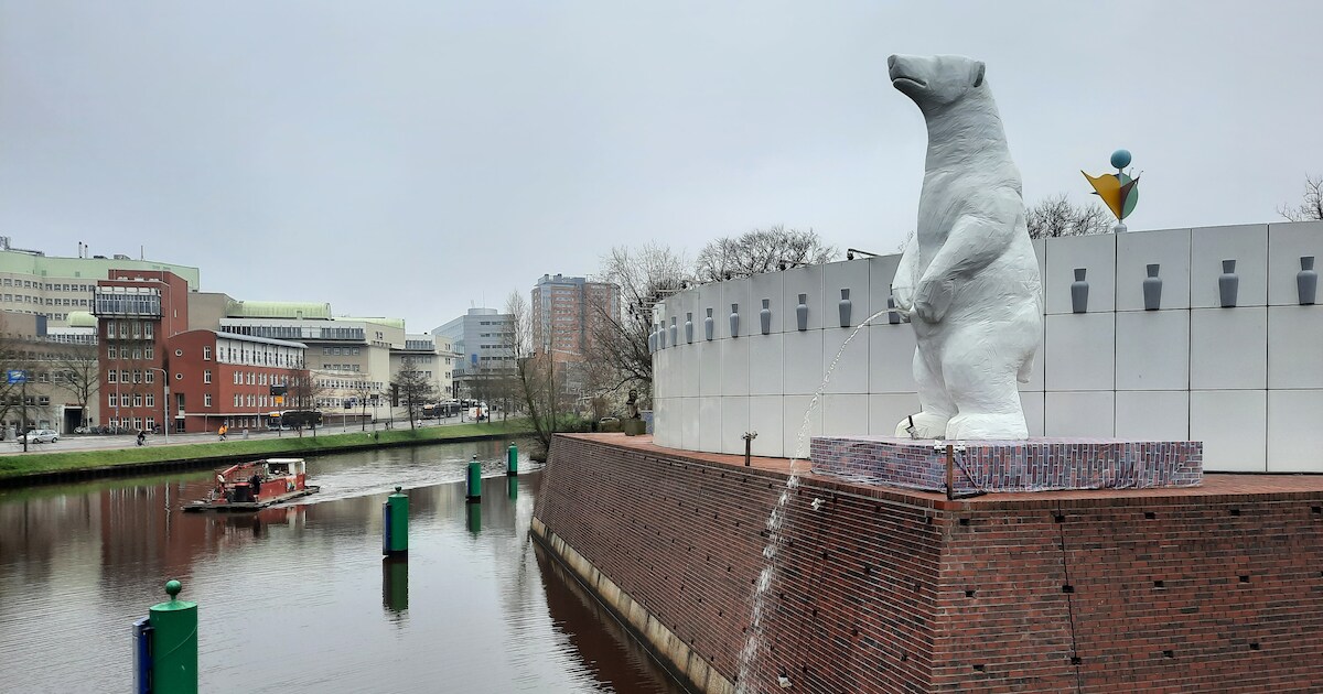 ‘Amersfoortse’ Pissende IJsbeer verhuist weer uit Groningen ...