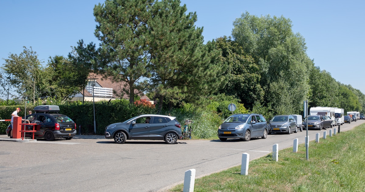 Vrijwilligers speuren naar verloren voorwerpen op vakantieparken ...