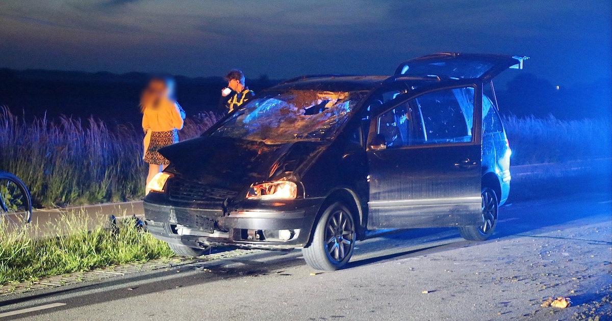 Ontsnapt paard op één avond twee keer aangereden, dier overleden na ...