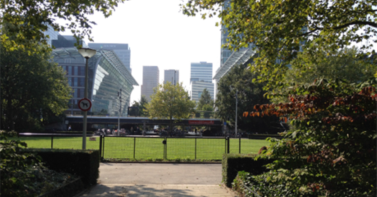 Neem de bomen en planten van de Zuidas gratis mee naar huis | Amsterdam ...