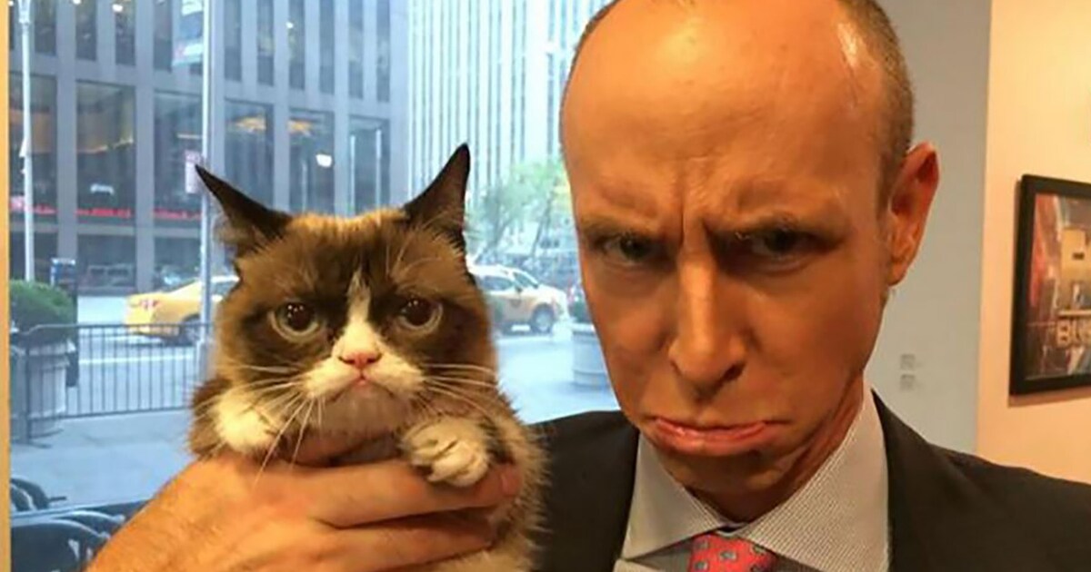 Boze katten tegen Brexit | Nieuws | AD.nl