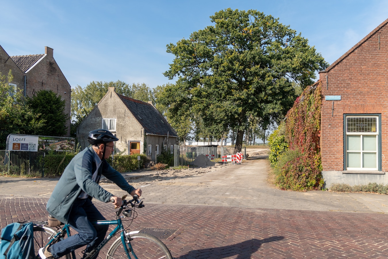 Strijd om kapvergunning van zomereik in Waalwijk: Dura Vermeer verwijt ...