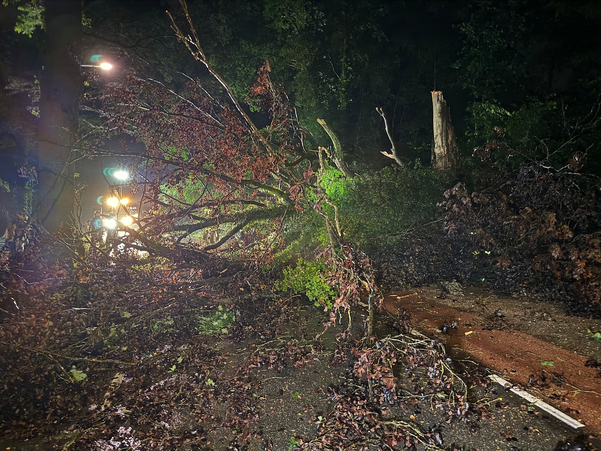 Grote boom valt om tijdens noodweer en verspert weg in Lunteren | Foto ...