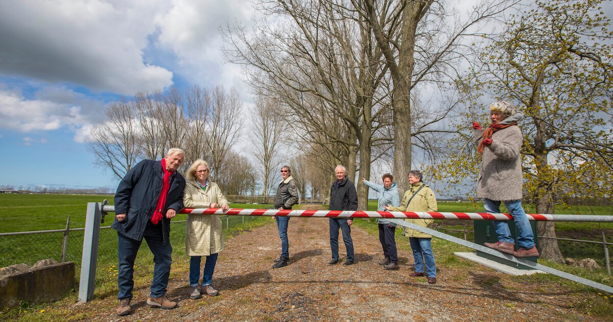 Omwonenden verzetten zich tegen bomenkap in Meerpolder: ‘Waarom zou je ...