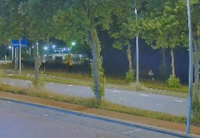 Verdachte (22) van moord op Lisa en zedendelicten vermoedelijk ...