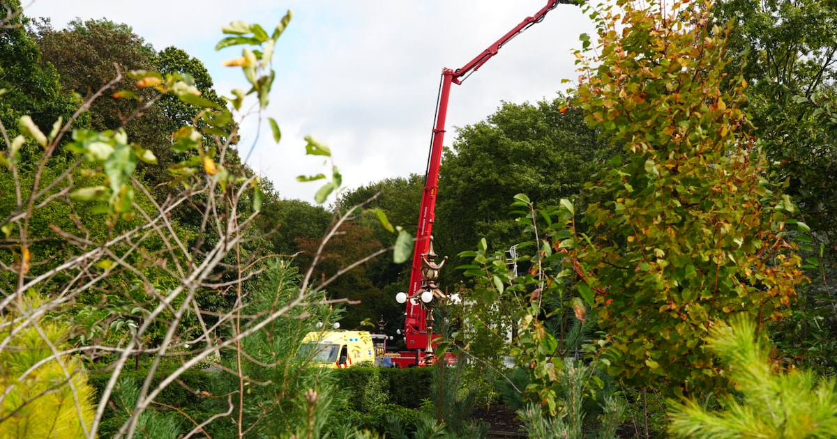 Medewerker Efteling zwaargewond na val van 6 meter tijdens ...