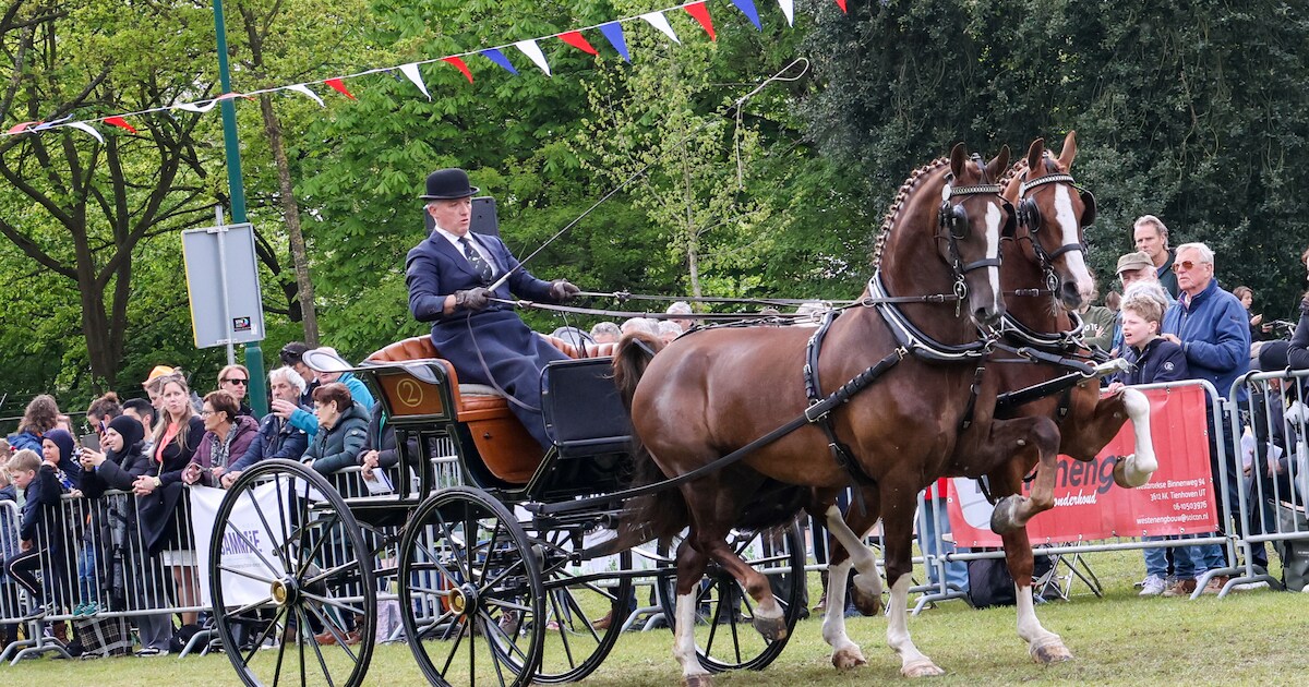 Oranjeconcours in De Bilt op Koningsdag | De Bilt | AD.nl