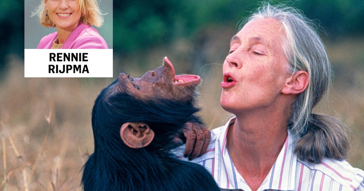 Het baanbrekende werk van Jane Goodall is na haar dood nog harder nodig ...