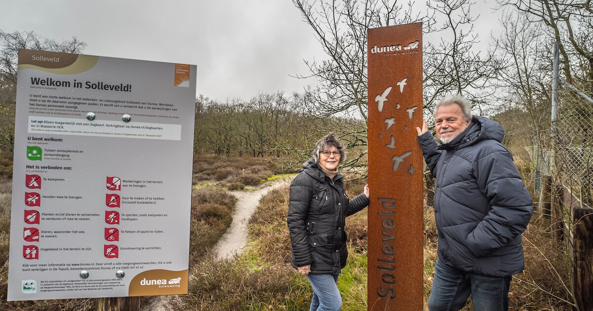 Bert (71) betaalt zich blauw om te wandelen in duingebied Solleveld ...