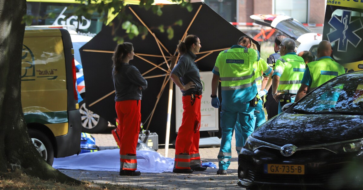 Doodgeschoten man in Delft is topcrimineel Karel Pronk | Delft | AD.nl