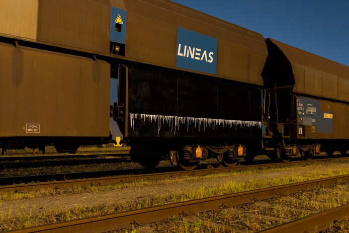 Twee kunstenaars met voorkeur voor ongepolijste schilderijen en ...