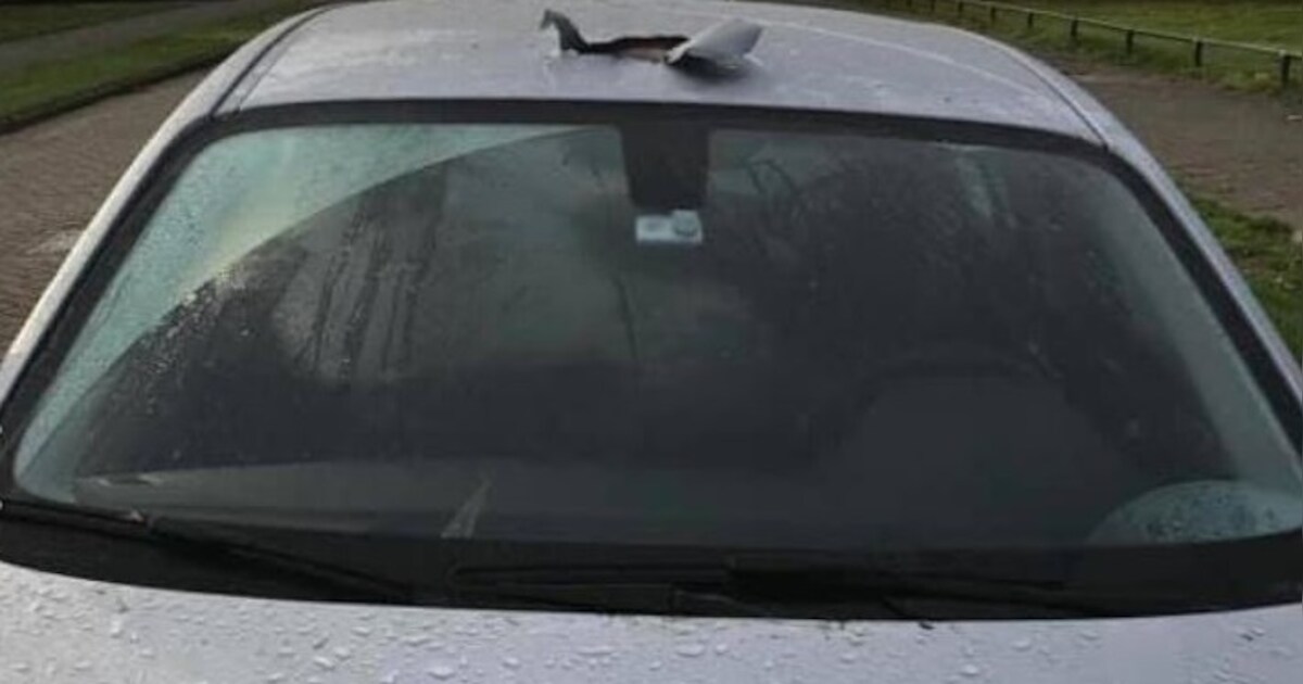 Autodieven plunderen BMW’s door dak open te knippen | Auto | AD.nl