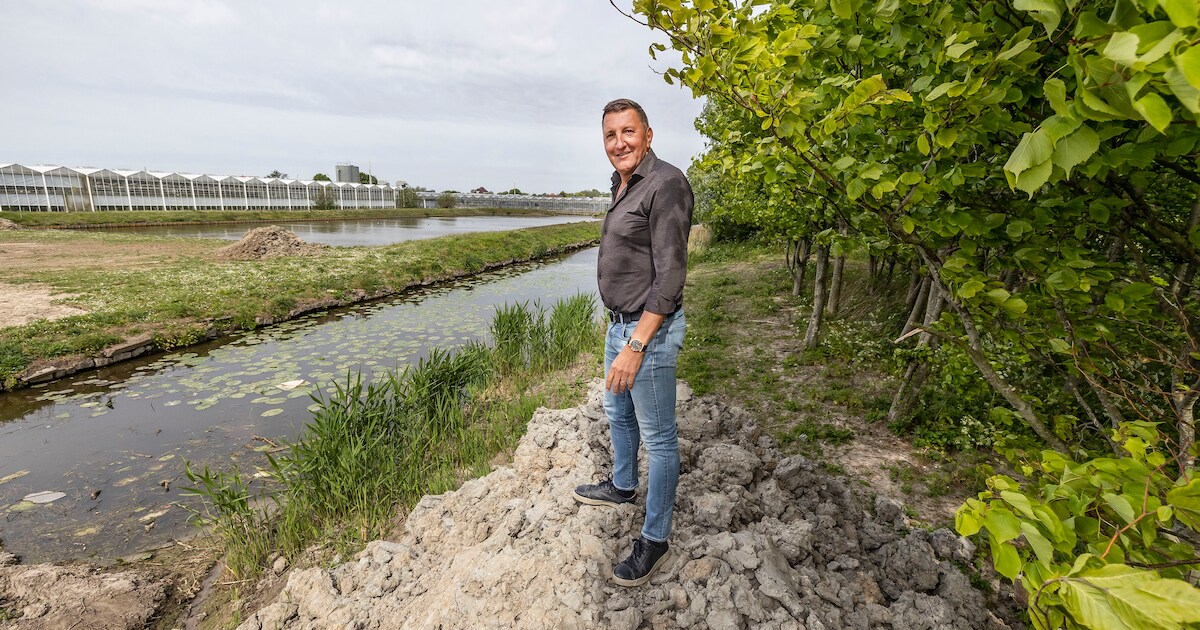 Tuinder René van der Arend houdt wél van bomen en kocht zijn eigen bos ...