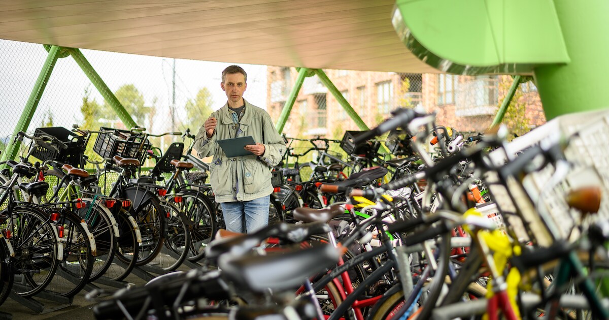 Fietsstad van het Jaar worden, wat heeft de fietser daar aan? | Regio ...