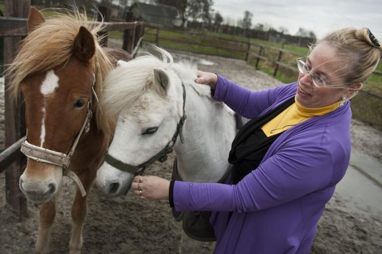 Barre tijden, ook voor man en paard | Foto | AD.nl