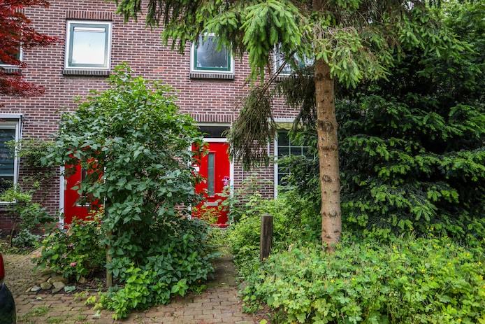 Hulpverlener speelde curieuze rol in zaak rond Vlaardings pleegmeisje: ‘Hij was meer een vriend ...