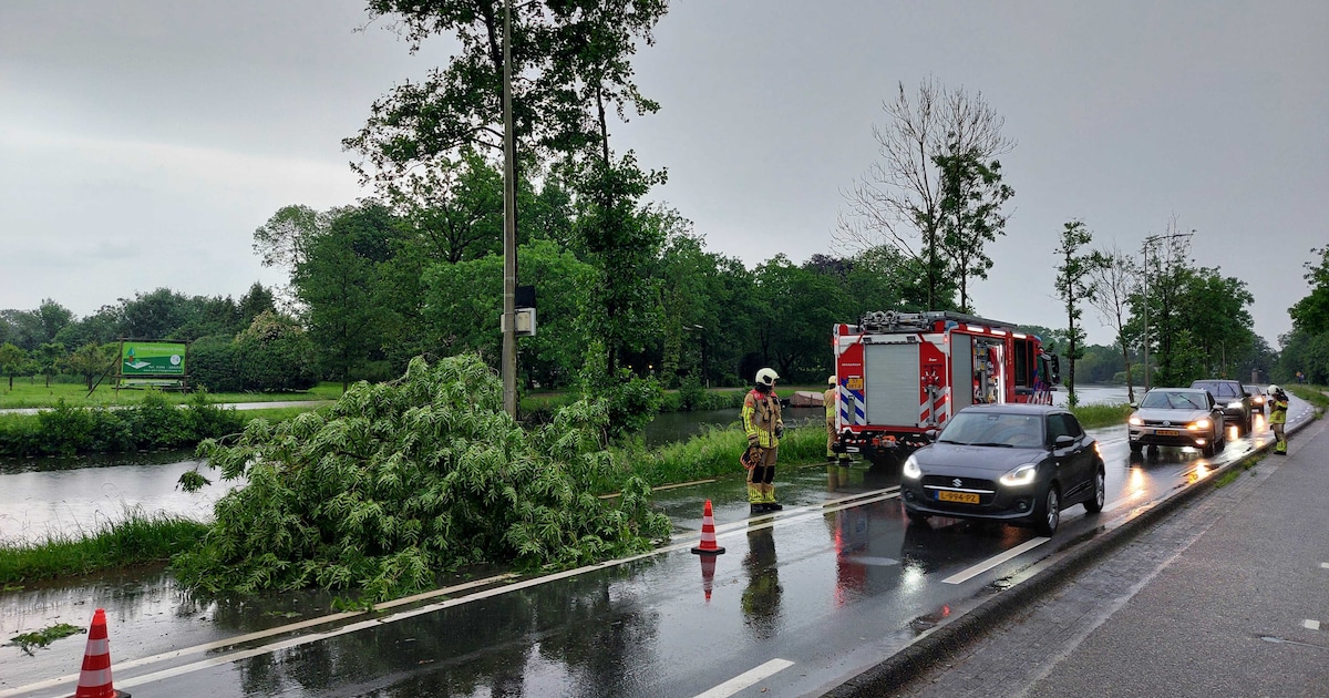 Deel van Straatweg afgesloten door omgewaaide boom in Breukelen ...