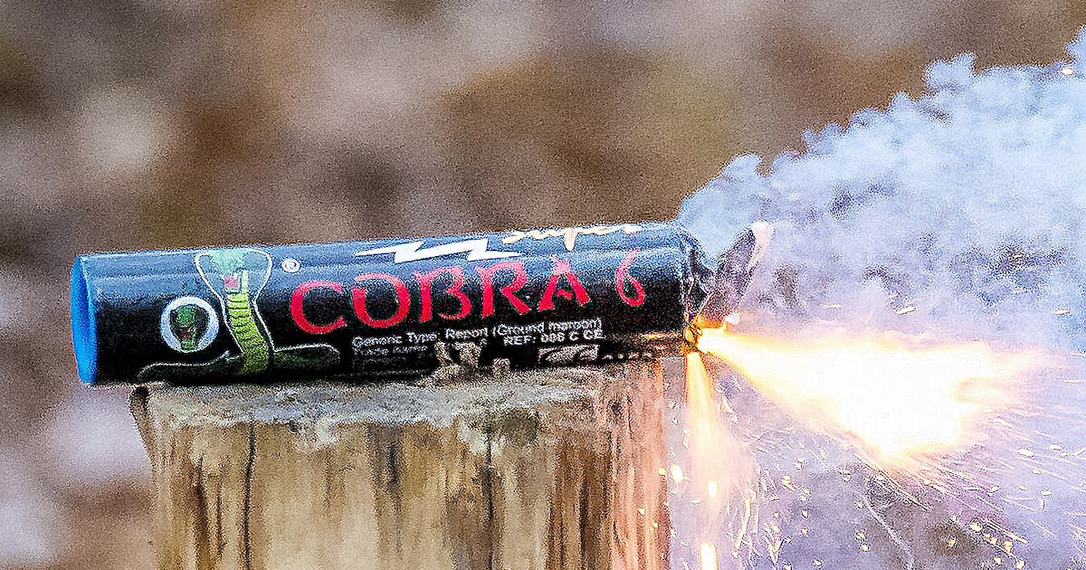 Honderden cobra’s in kofferbak en kilo's illegaal vuurwerk in schuur ...