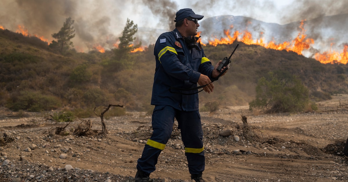 Onderzoekers waarschuwen: Hittegolven worden frequenter en intenser ...