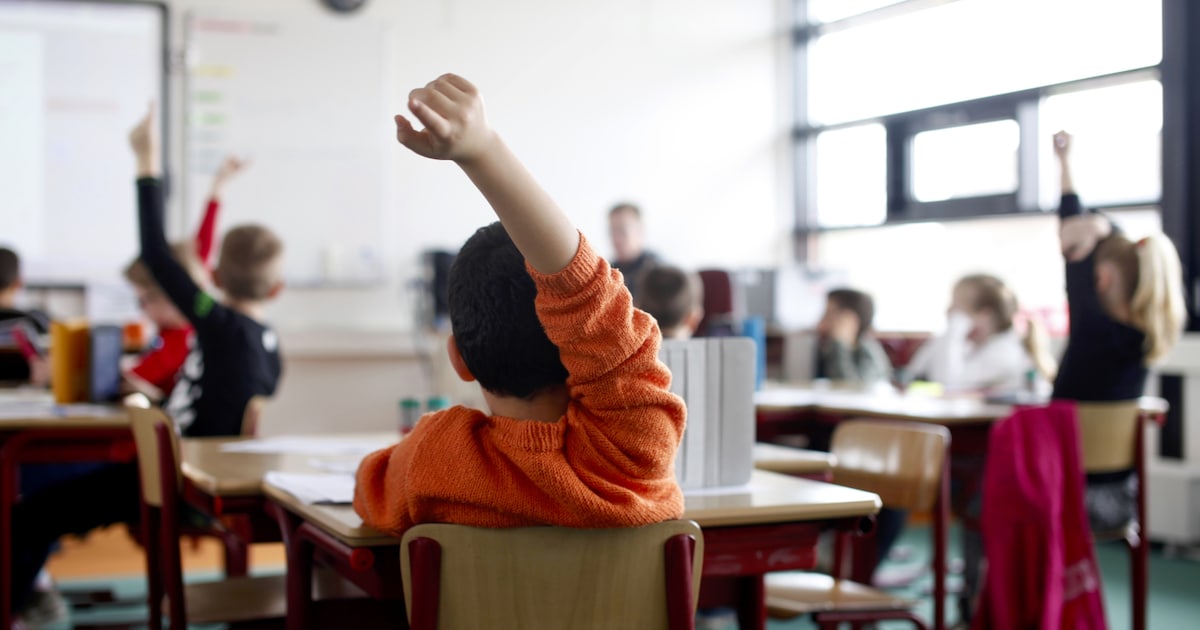 Dit schooladvies krijgt een doorsnee leerling in Rotterdam | Regio | AD.nl