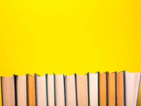 Boek reserveren of terugbrengen kan zo niet meer bij dit ‘Rozetje’ in ...