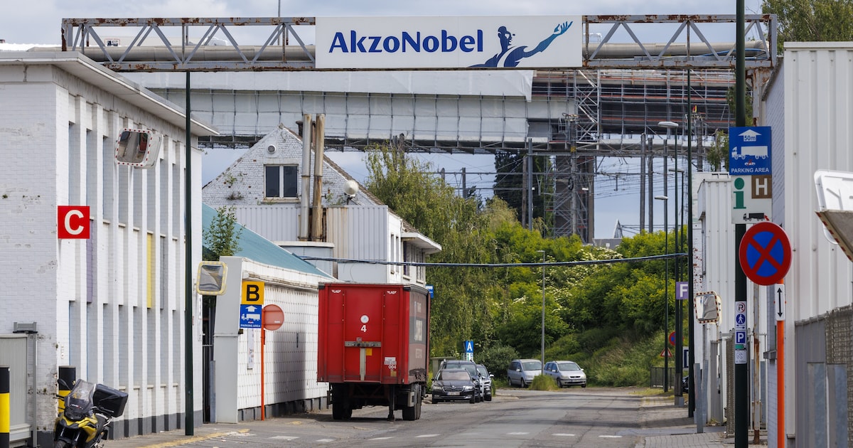 Verfproducent AkzoNobel gaat samen met branchegenoot Axalta en krijgt ...