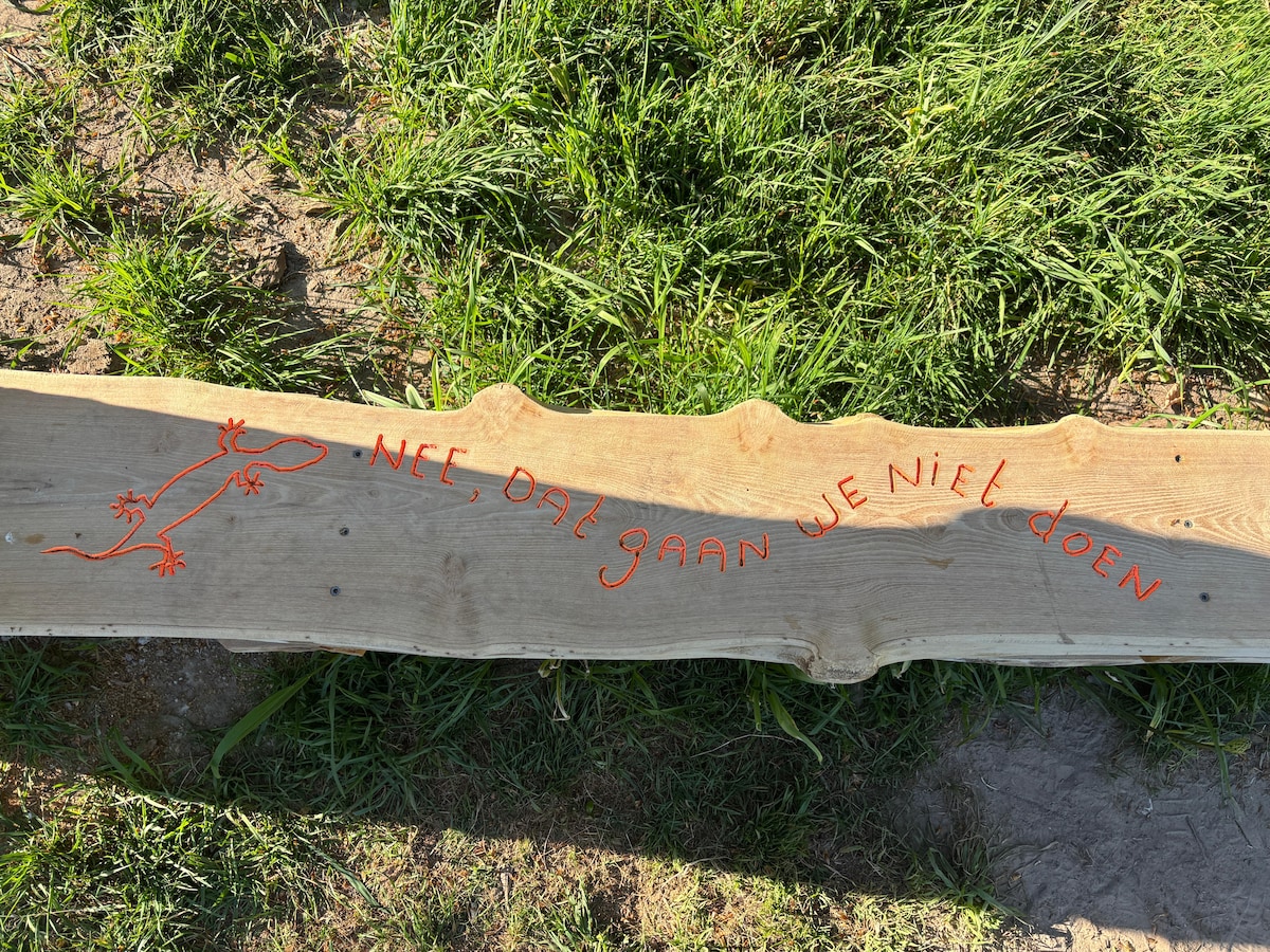 Dit bankje in park Schothorst werd speciaal voor Joop gemaakt: ‘Ik ...