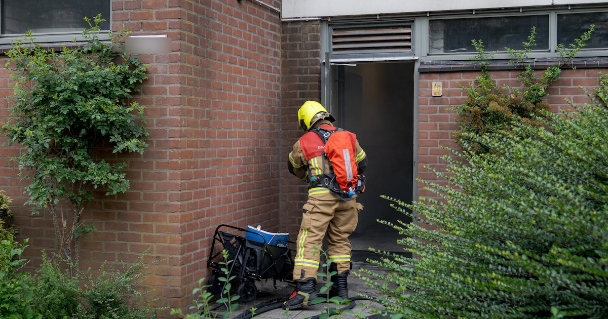 Rook in portiek na brand in kelderbox aan Grienderwaard | Regio | AD.nl