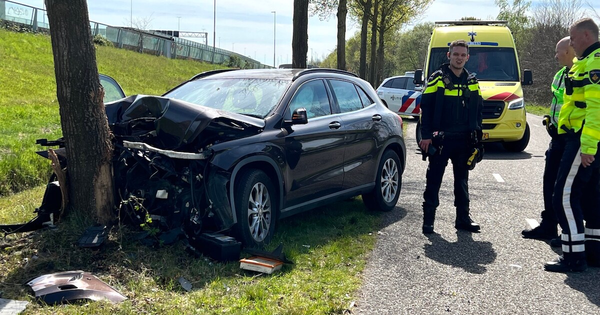 Auto botst frontaal tegen boom in Breda, bestuurder gewond | Breda | AD.nl