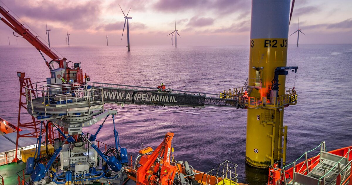 Extra kantoor Ampelmann in Midden-Oosten | Delft | AD.nl