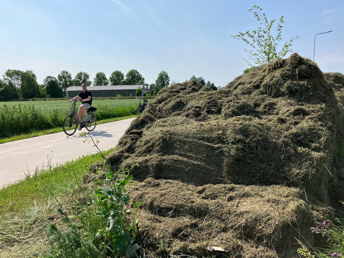 Dorpsbewoners zaaiden bloemen in de berm, maar kregen er een meurende ...