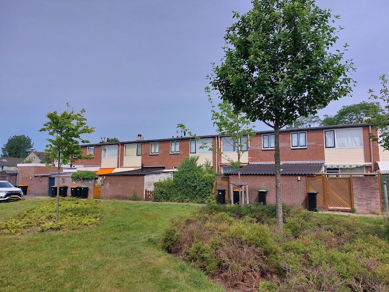 Molenwijk Katwijk op de schop: 74 huizen worden opgeknapt en ...