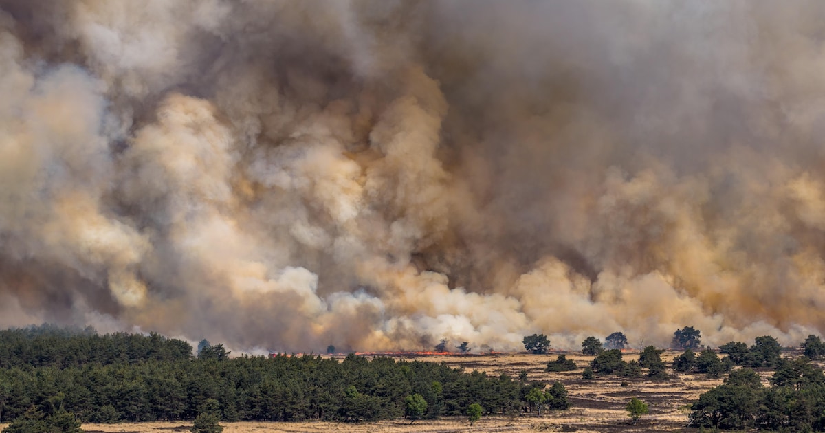Na dagen blussen op Veluwe: eindelijk sein brand meester bij ...