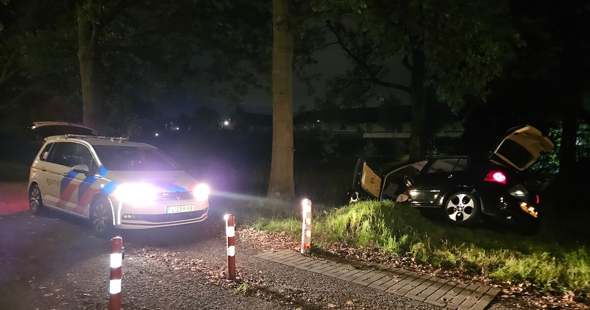 Automobilist crasht bij achtervolging en vlucht, politie zet hond in ...